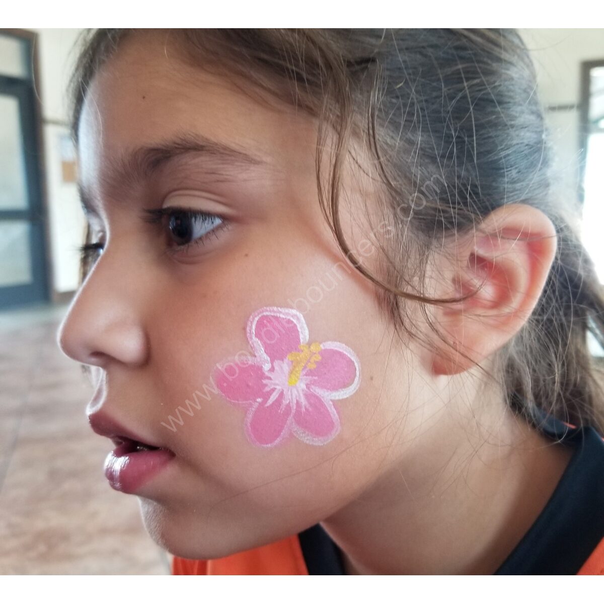 Face Painting (Cheek) - Boodle Bouncers